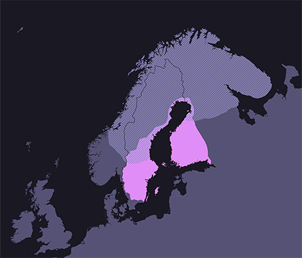 1300-talet - Sveriges Historia