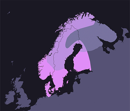 1400-talet - Sveriges Historia