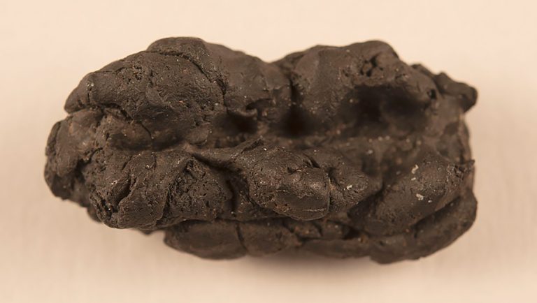 Världens äldsta tuggummi - Sveriges Historia