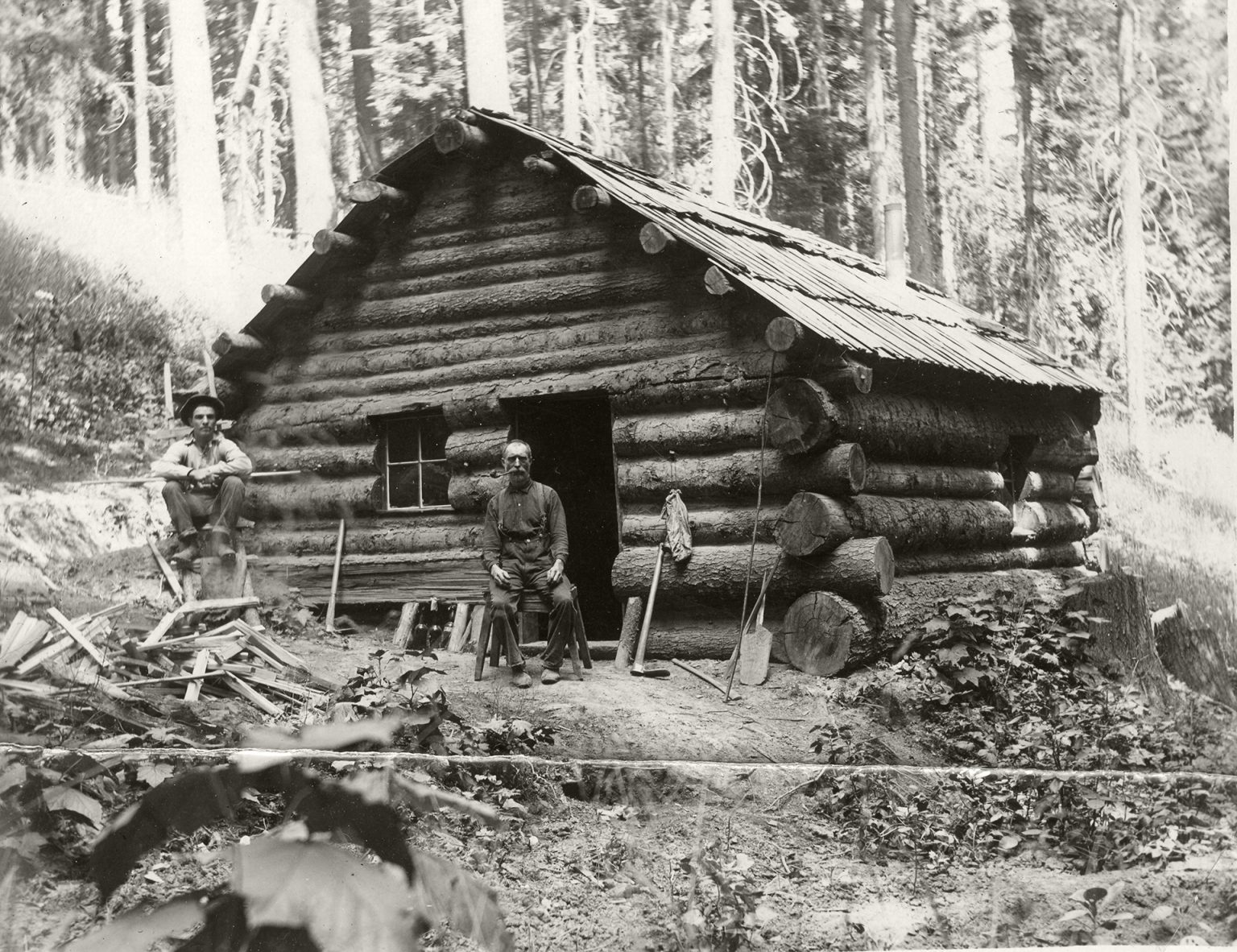 En småländsk nybyggare i Amerika - Sveriges Historia